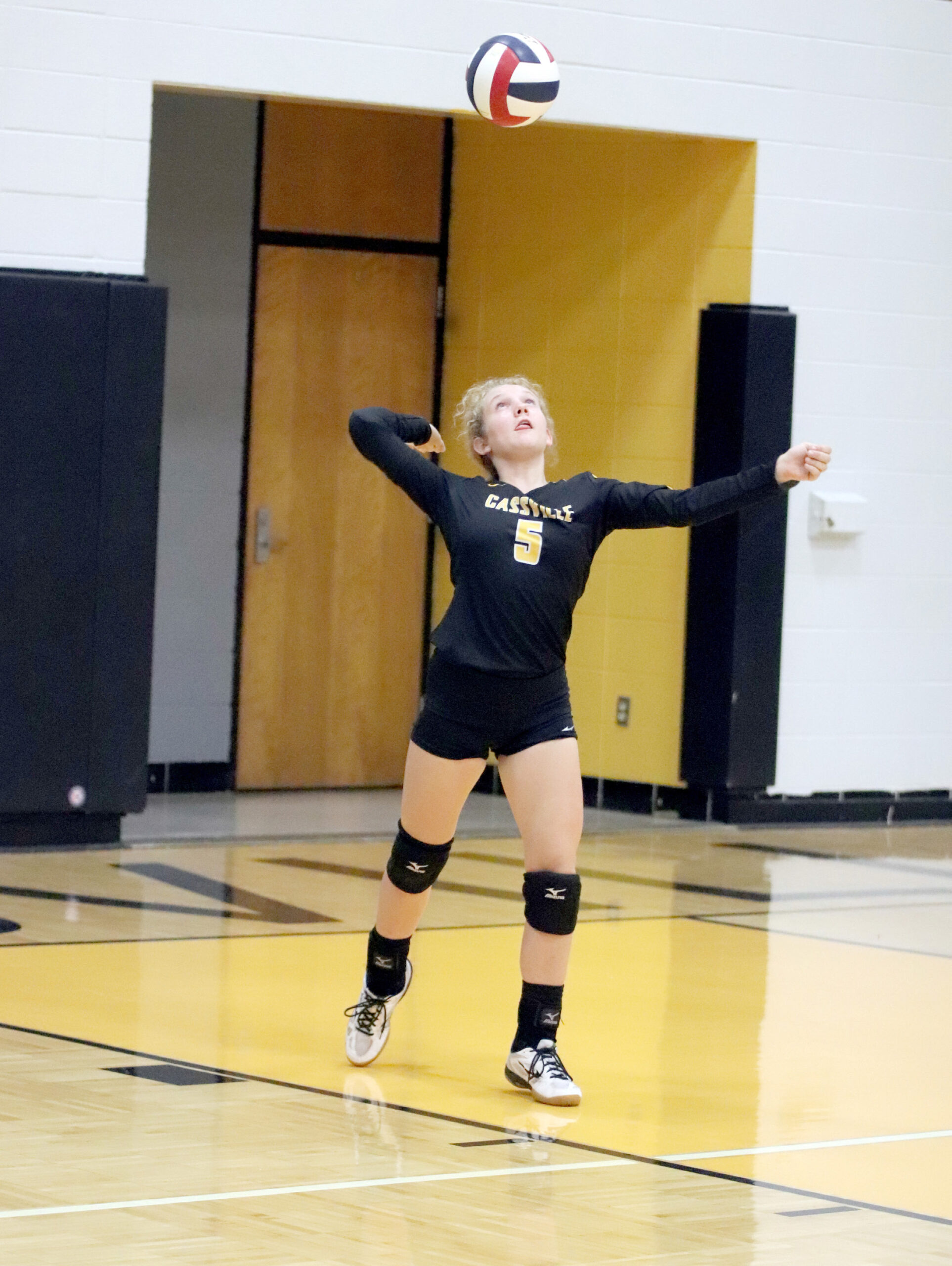 Year in Photos — Cassville volleyball - Cassville Democrat