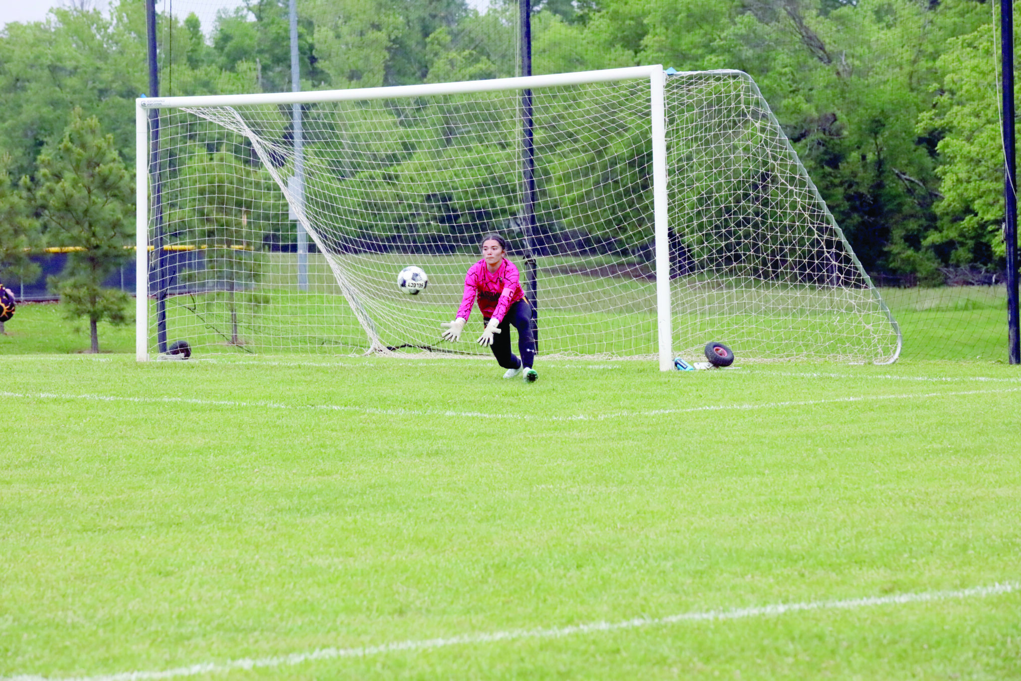 Lady ‘Cats enjoy record-setting season - Cassville Democrat